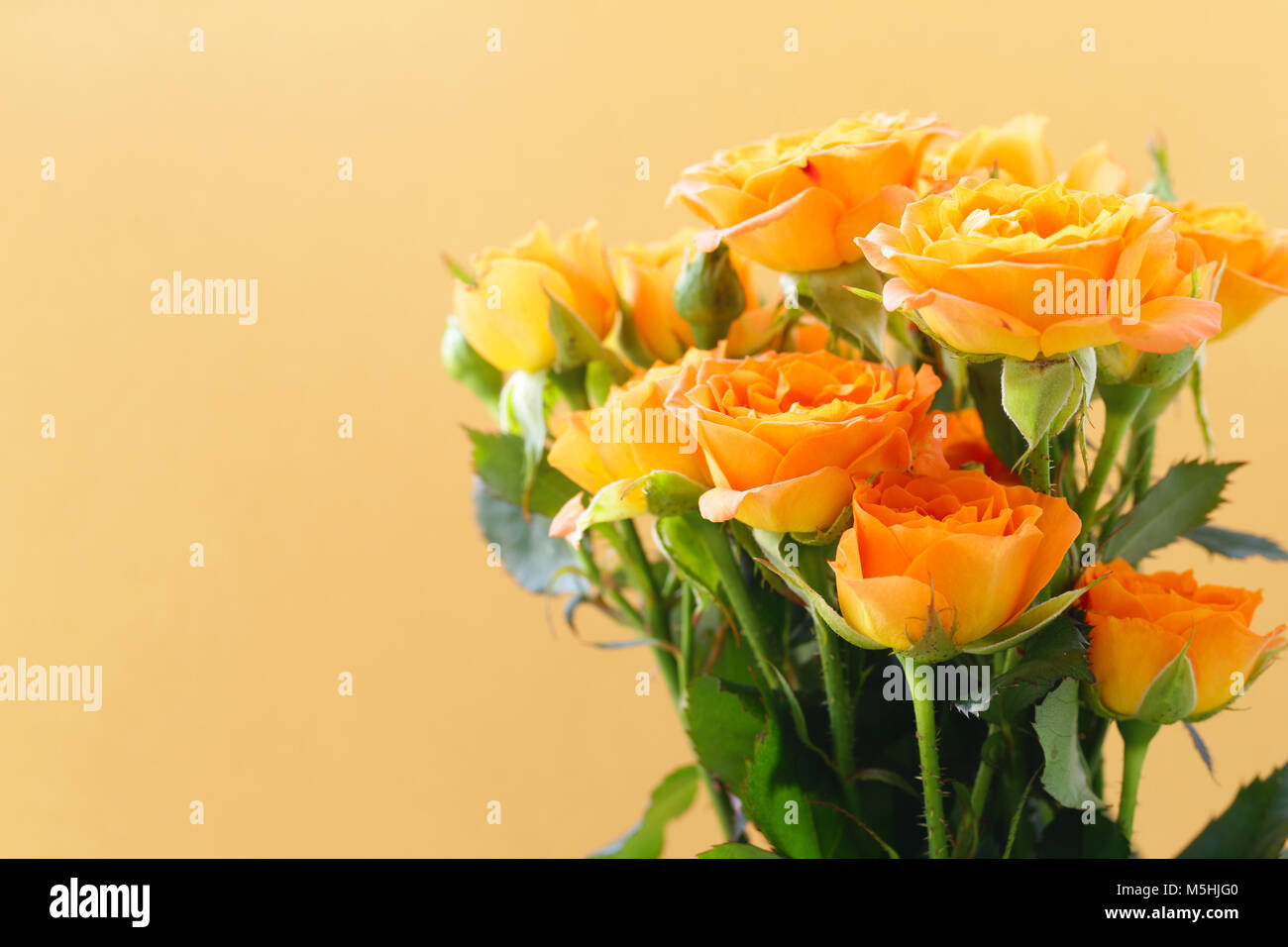bouquet of fresh yellow roses for greeting card Stock Photo - Alamy