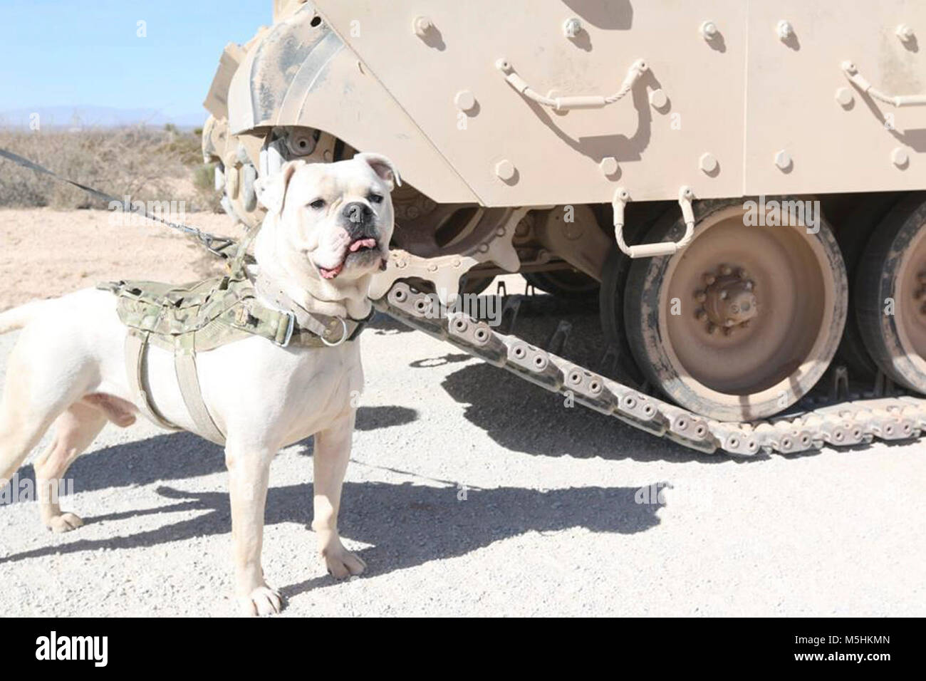Staff Sgt. Cody Chester took a ride in Col. Robert E. Lee Magee's ...