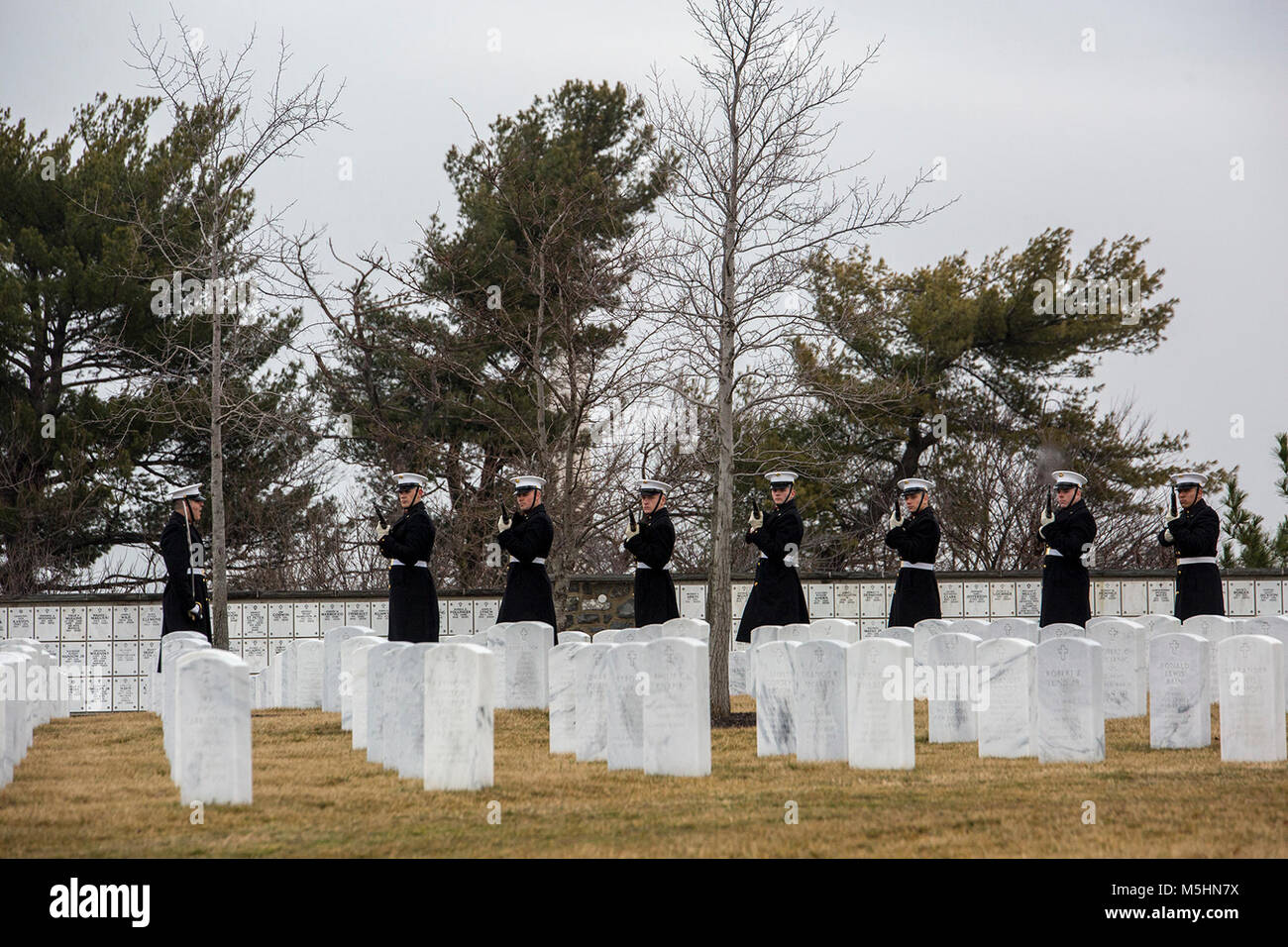 Volley salute hi-res stock photography and images - Alamy