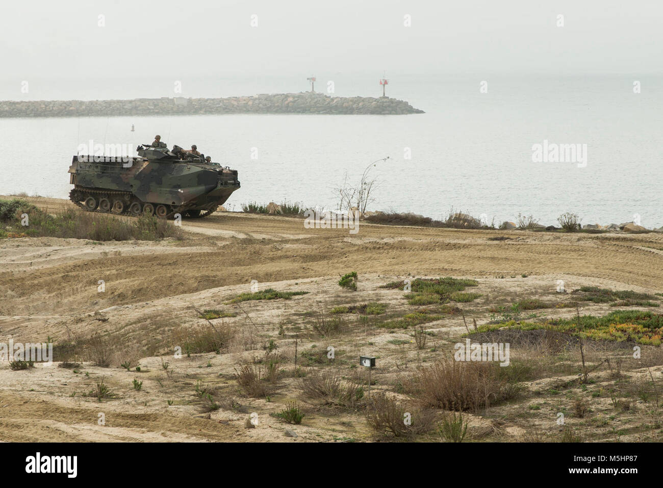 Assault amphibian school battalion hi-res stock photography and images ...