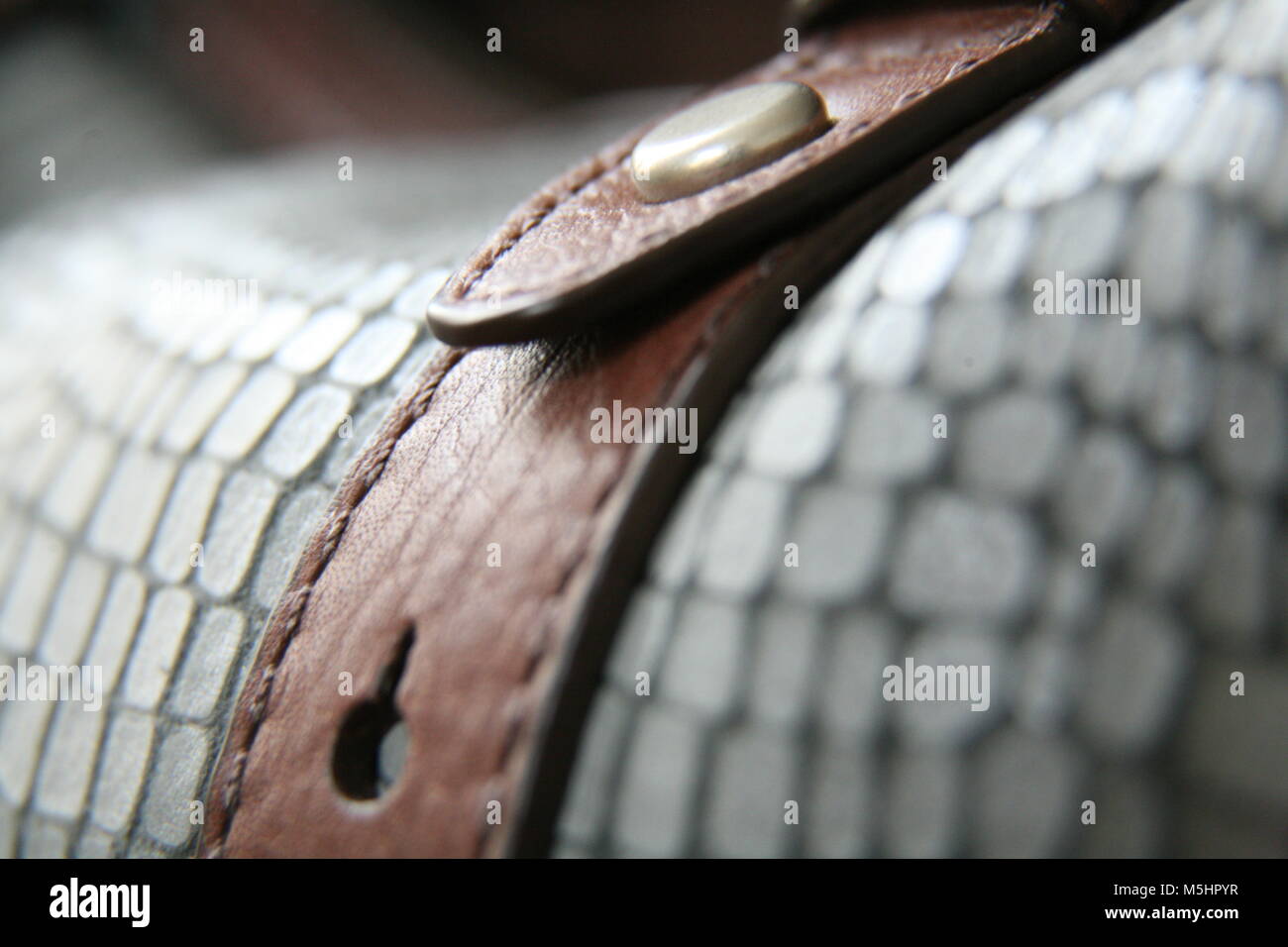 Snake skin patterns hi-res stock photography and images - Alamy