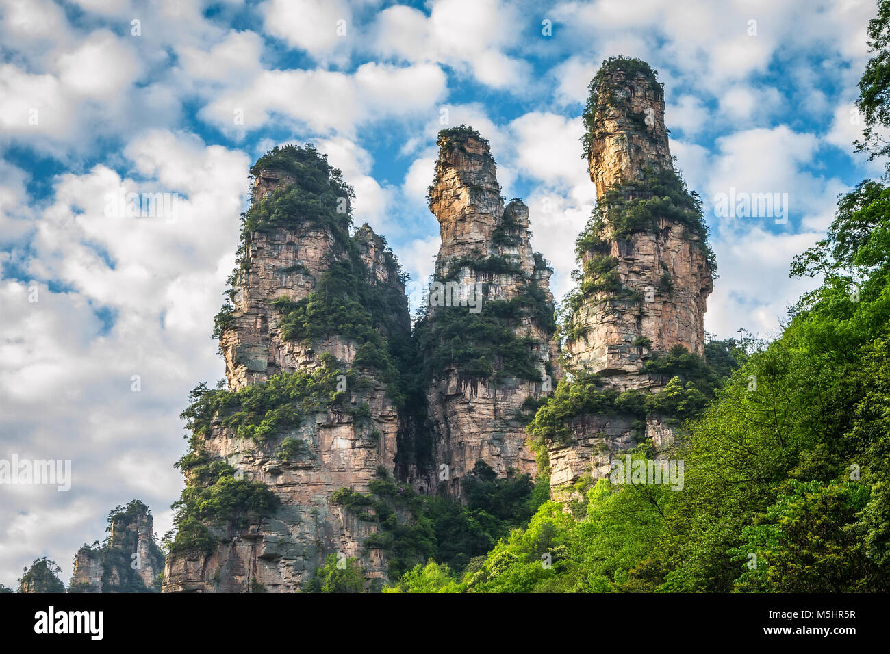 China, Hunan, Zhangjiajie National Park (Park of Avatar), karst pillars ...