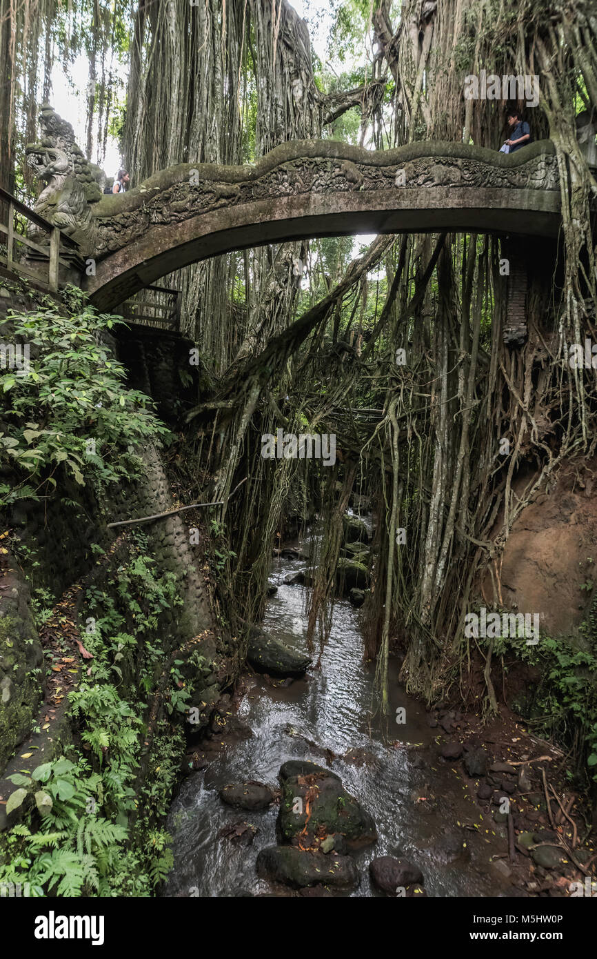 Dragon bridge with ficus roots, Sacred Monkey Forest Sanctuary, Ubud ...