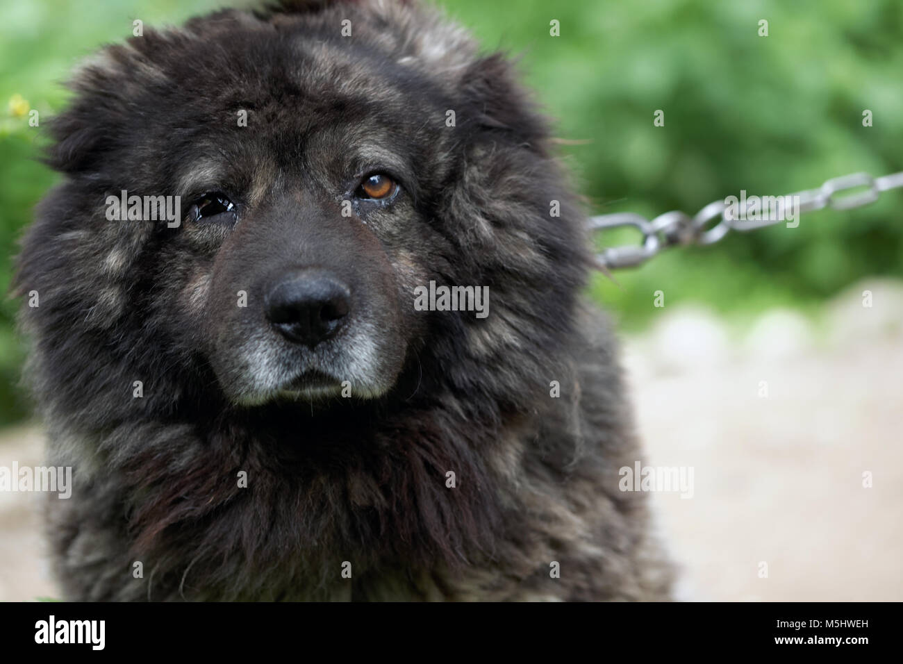 Homeless people in russia hi-res stock photography and images - Alamy