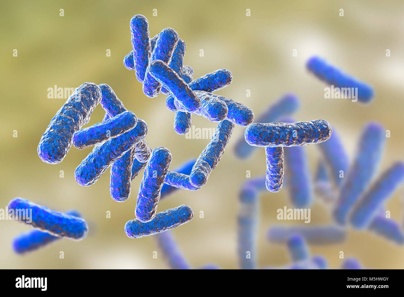 Illustration of rod-shaped bacteria. Rod-shaped bacteria include ...