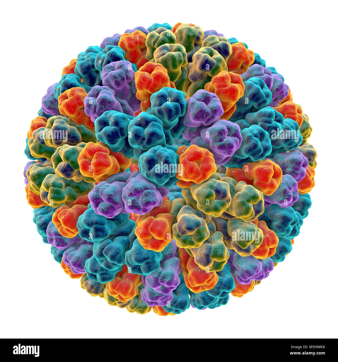Rotavirus particle, computer illustration. This virus particle consists ...