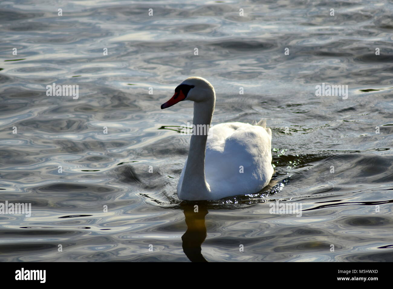 Lovely seashore hi-res stock photography and images - Alamy
