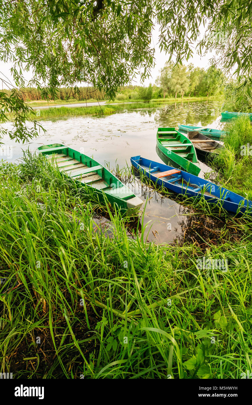 Wooden fishing boats under a tree moored to the shore. River summer ...