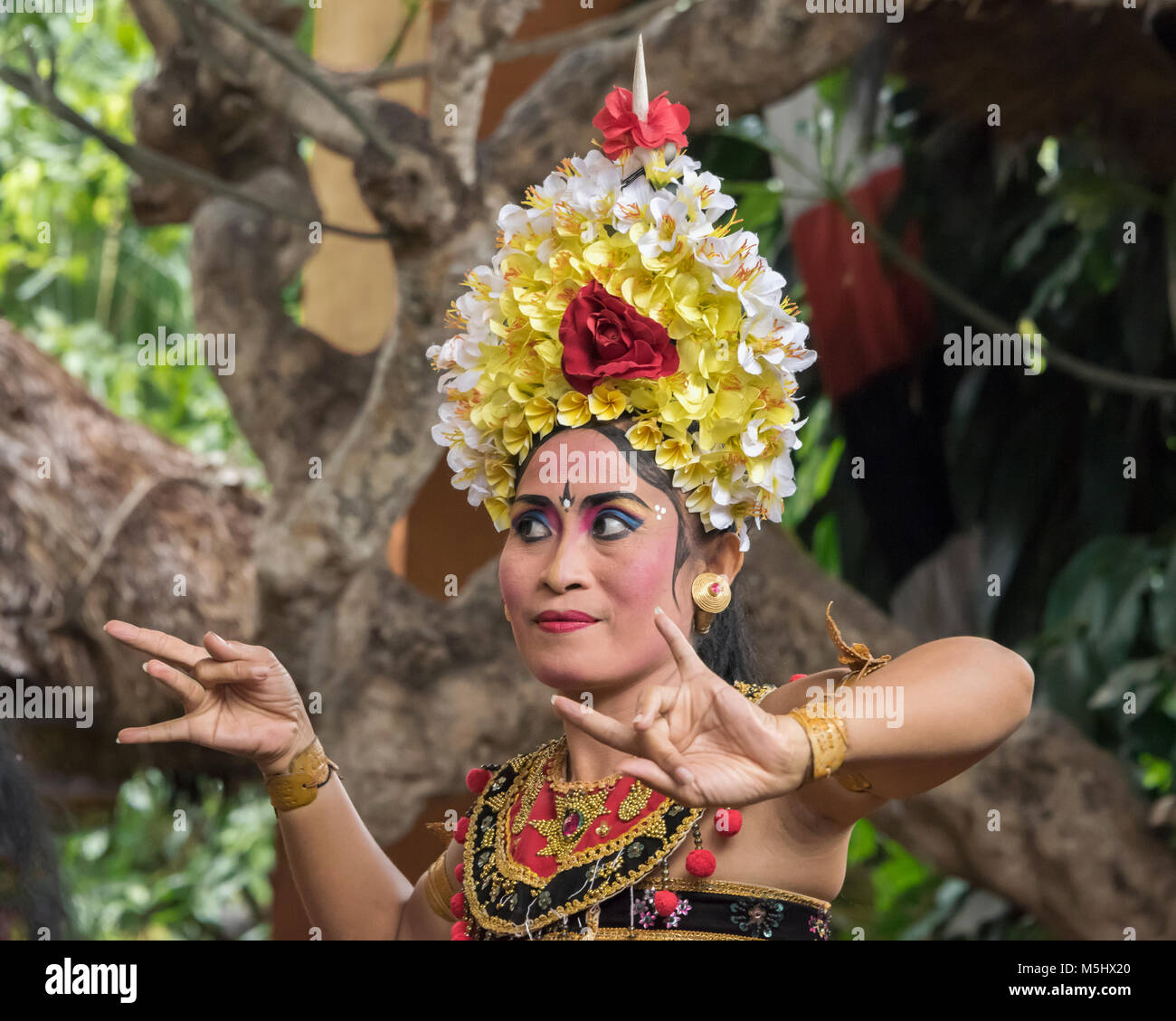 Women dancer using codified hand and eye positions in Barong Calon ...