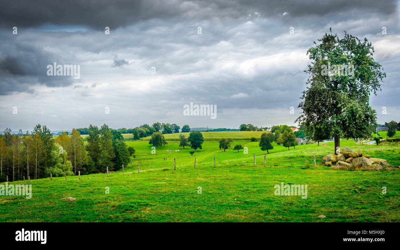 Normandy landscape hi-res stock photography and images - Alamy