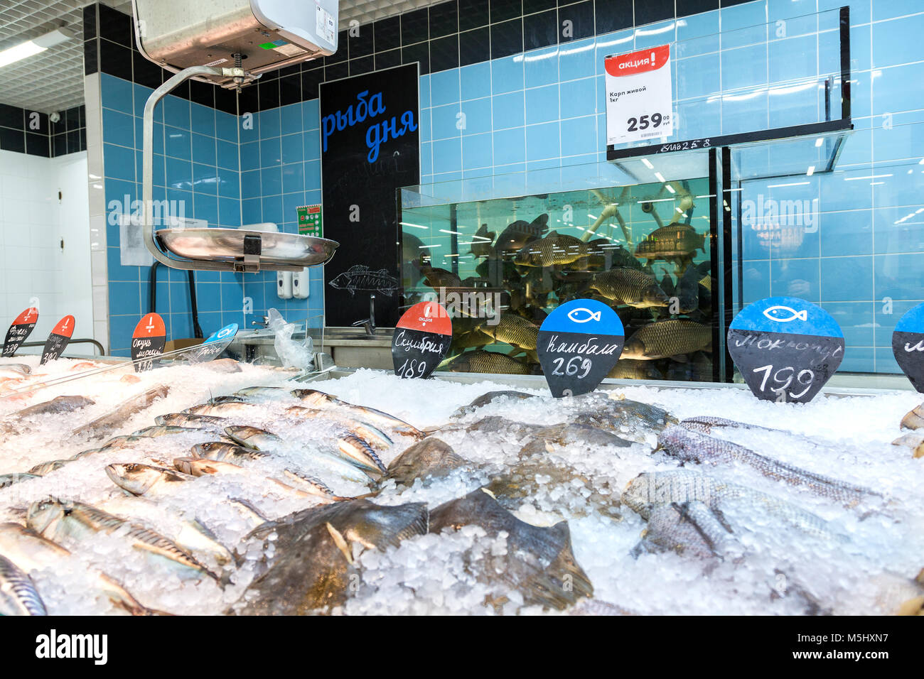 Frozen fish market russia hi-res stock photography and images - Alamy