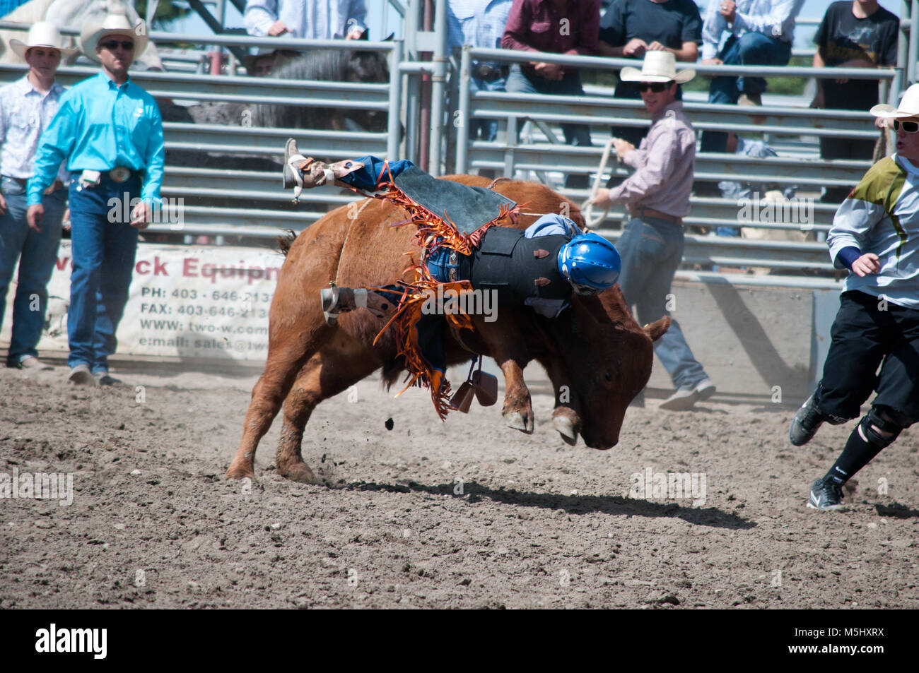 2011 rodeo 2011 hi-res stock photography and images - Alamy