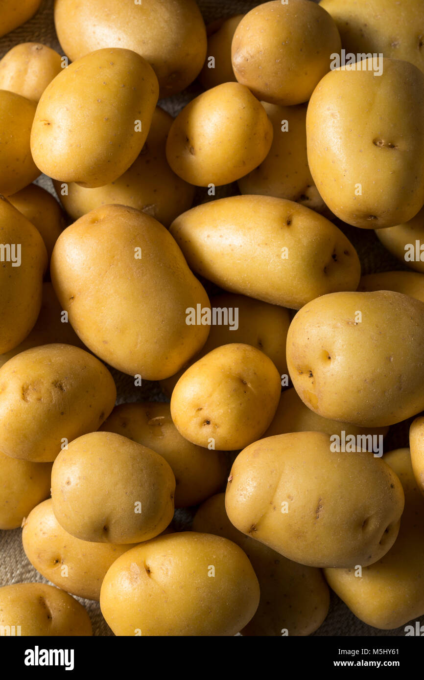 Yellow potato hi-res stock photography and images - Alamy