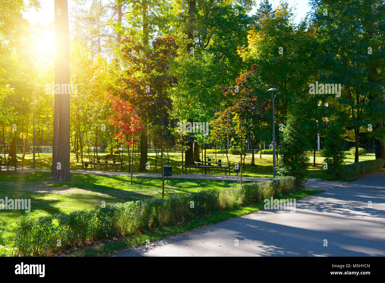 Beautiful scene sunset park hi-res stock photography and images - Alamy