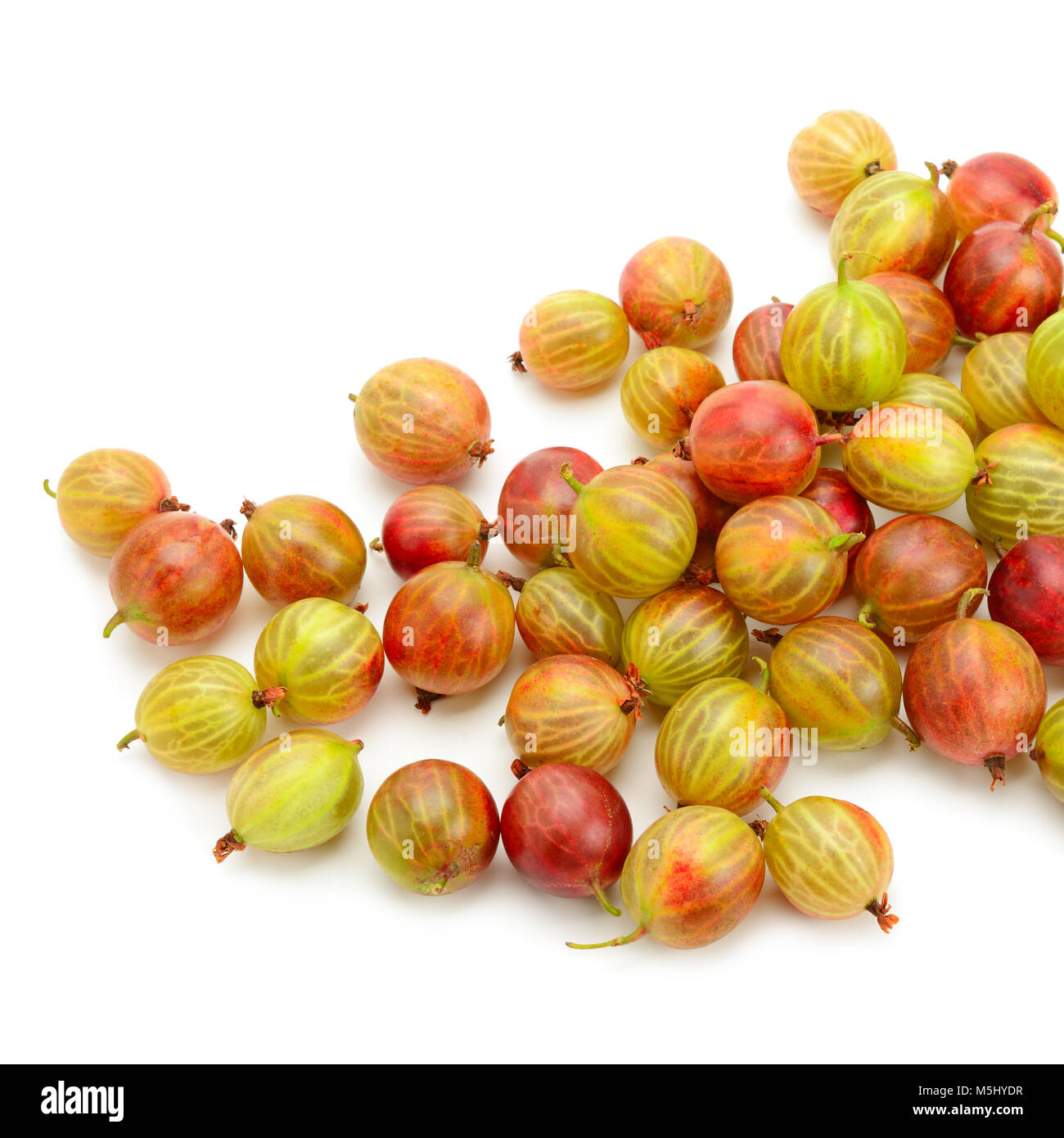 Big ripe gooseberries isolated on a white background Stock Photo - Alamy