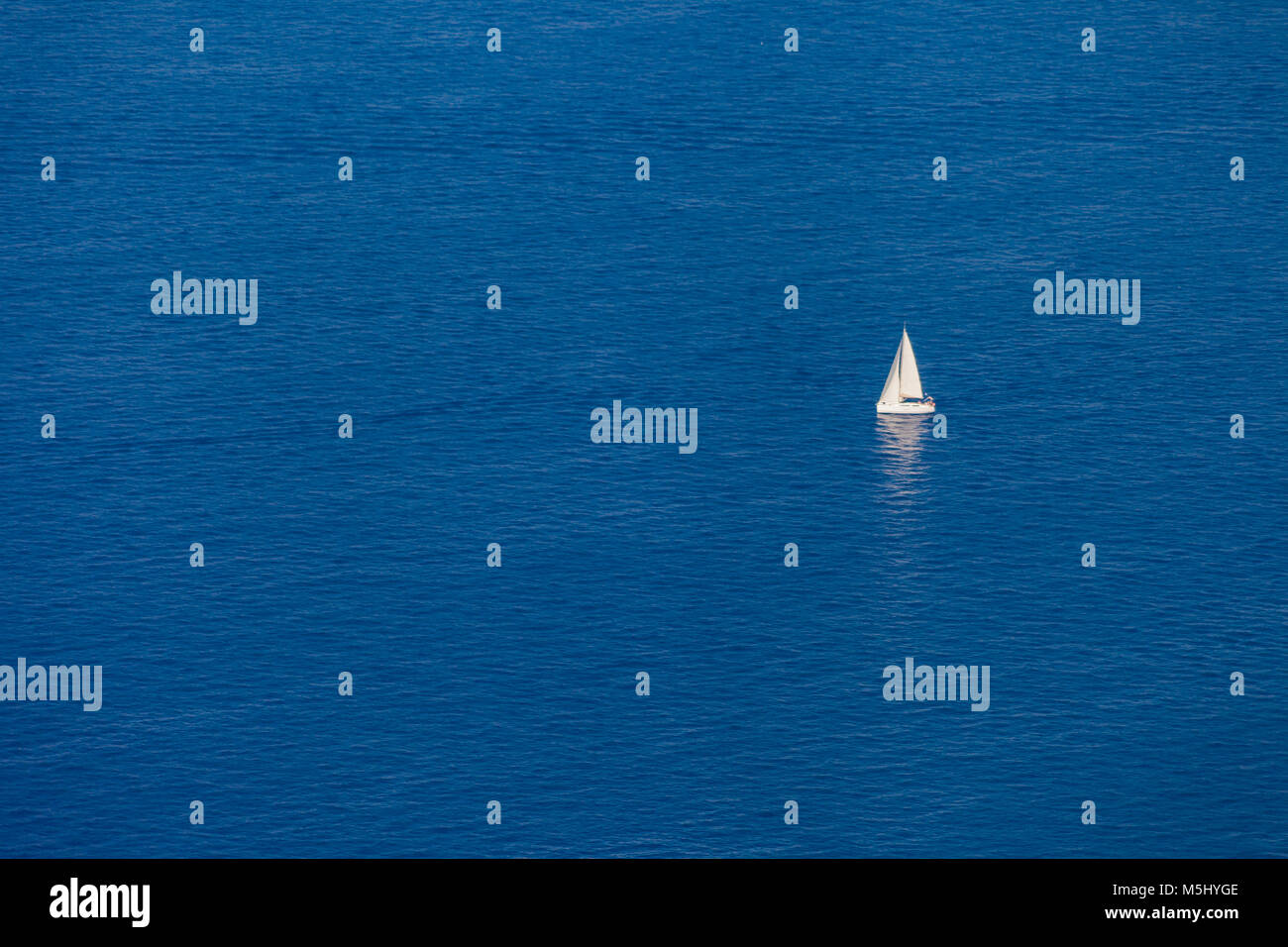 Beautiful shot lonely white hi-res stock photography and images - Alamy
