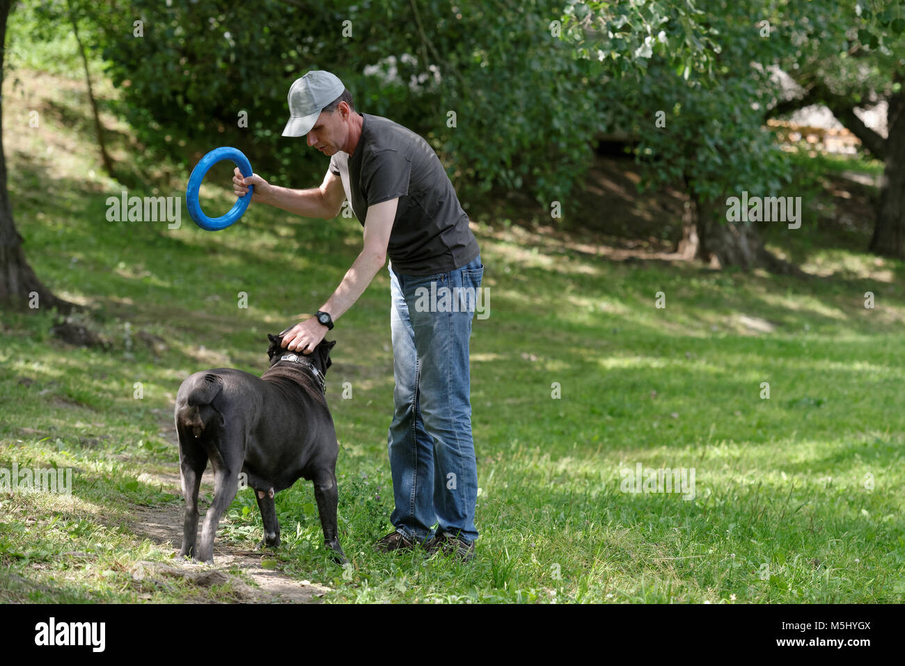 Dog in the city park hi-res stock photography and images - Alamy