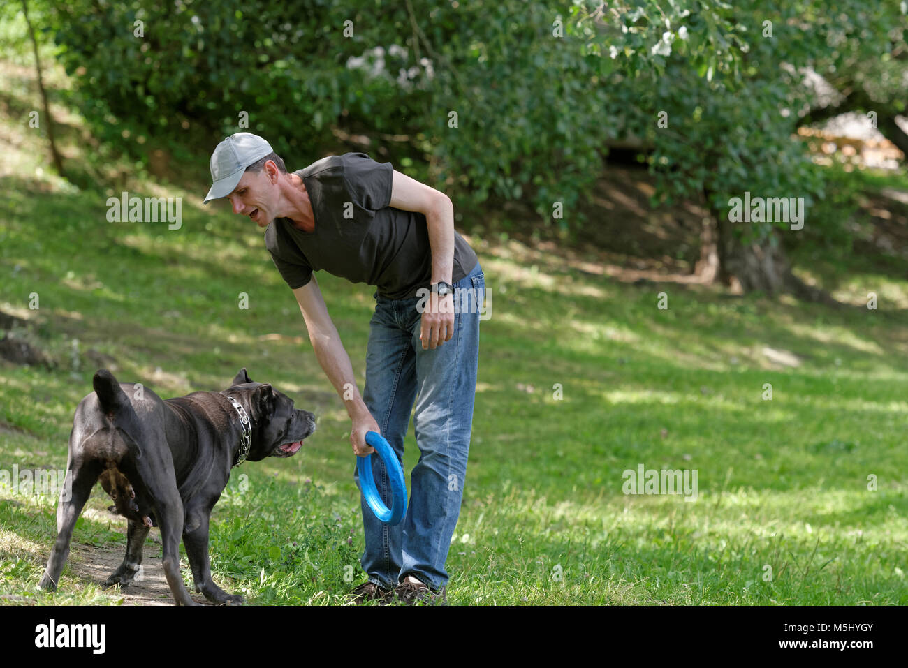 Man playing with his dog in a city park Stock Photo - Alamy