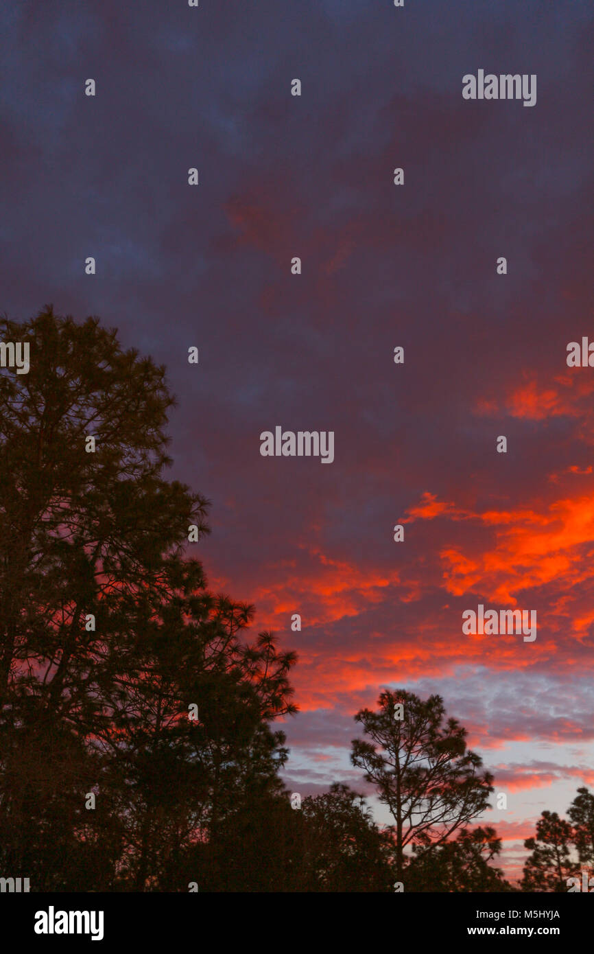 Crystal river national wildlife hi-res stock photography and images - Alamy