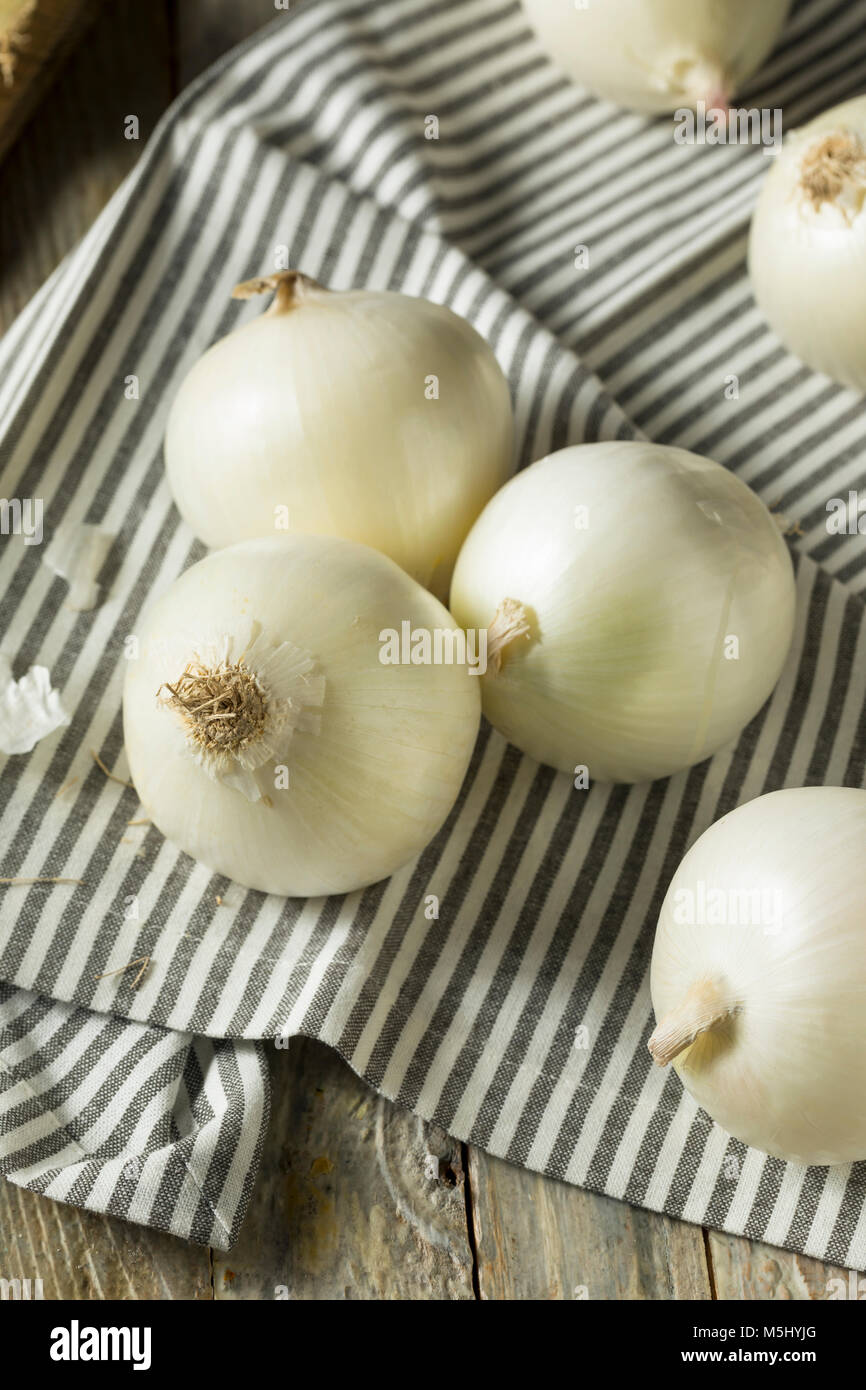 Raw Organic White Onions Ready to Cut Stock Photo - Alamy