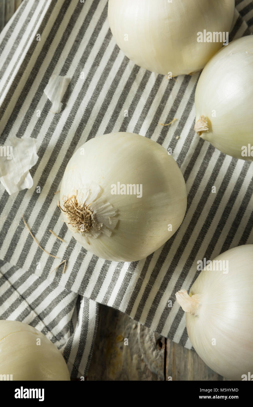Raw Organic White Onions Ready to Cut Stock Photo - Alamy