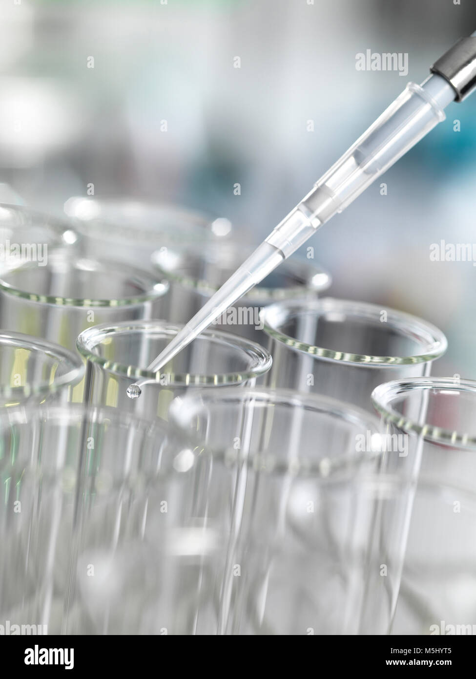 Sample being pipetted into test tubes during a laboratory experiment ...