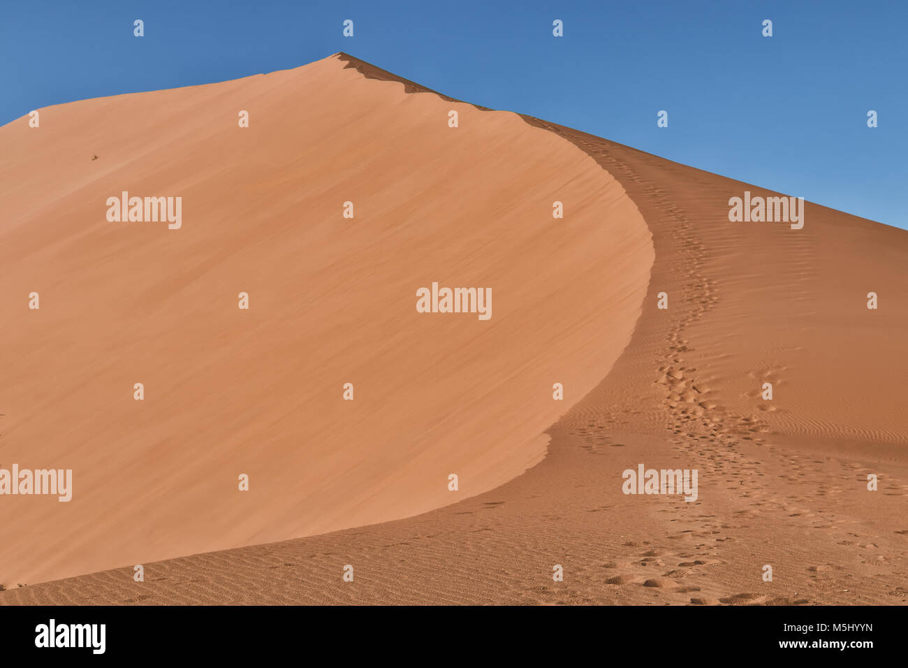 Red dune Namibia desert Stock Photo - Alamy