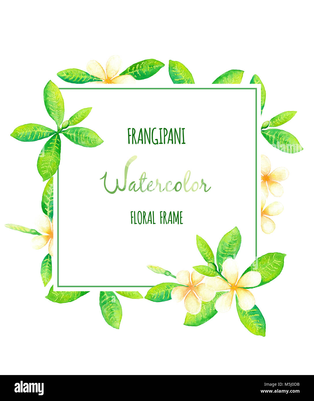 Tropical tiare flowers square frame watercolor painting Stock Photo - Alamy