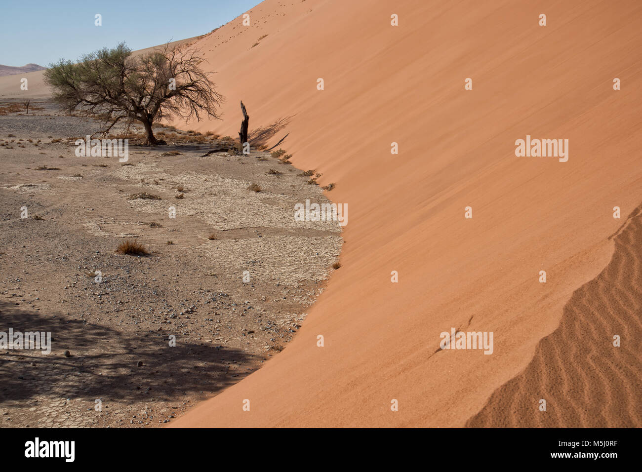 Red dune Namibia desert Stock Photo - Alamy