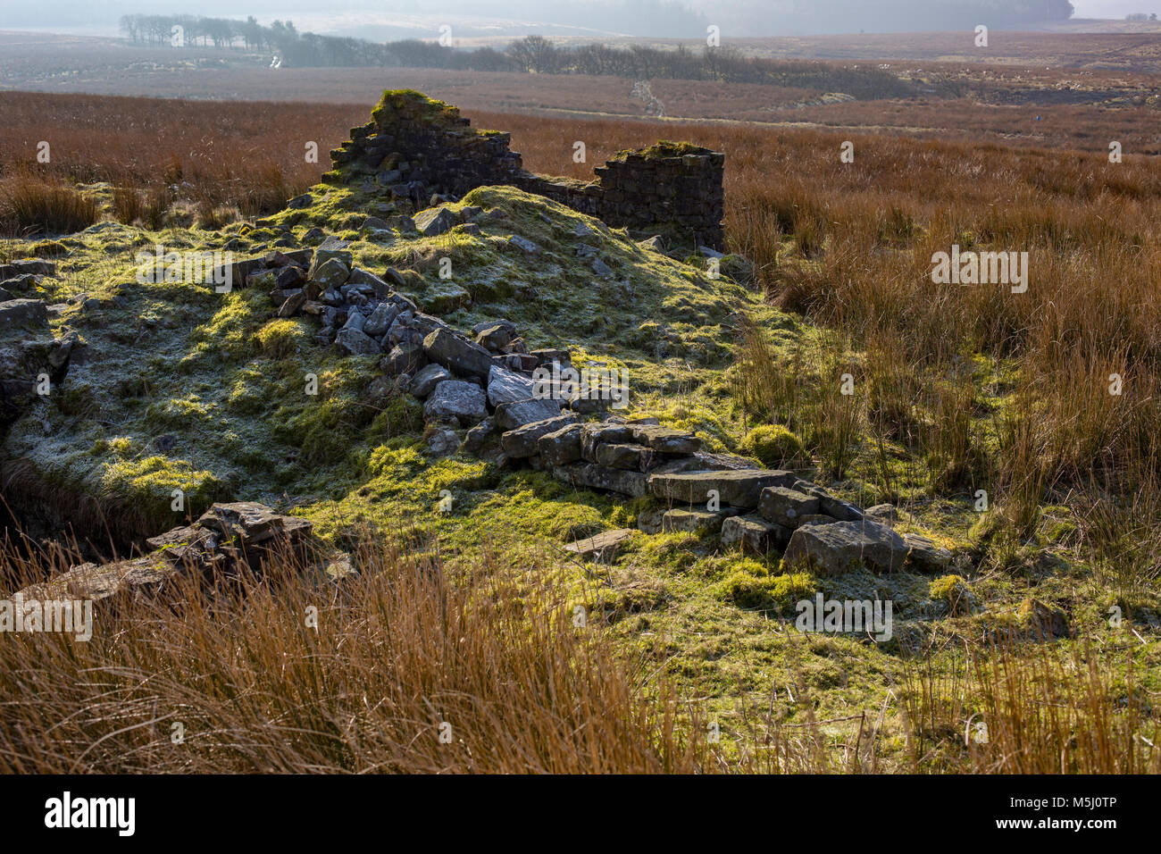 Decline in sheep farming hi-res stock photography and images - Alamy