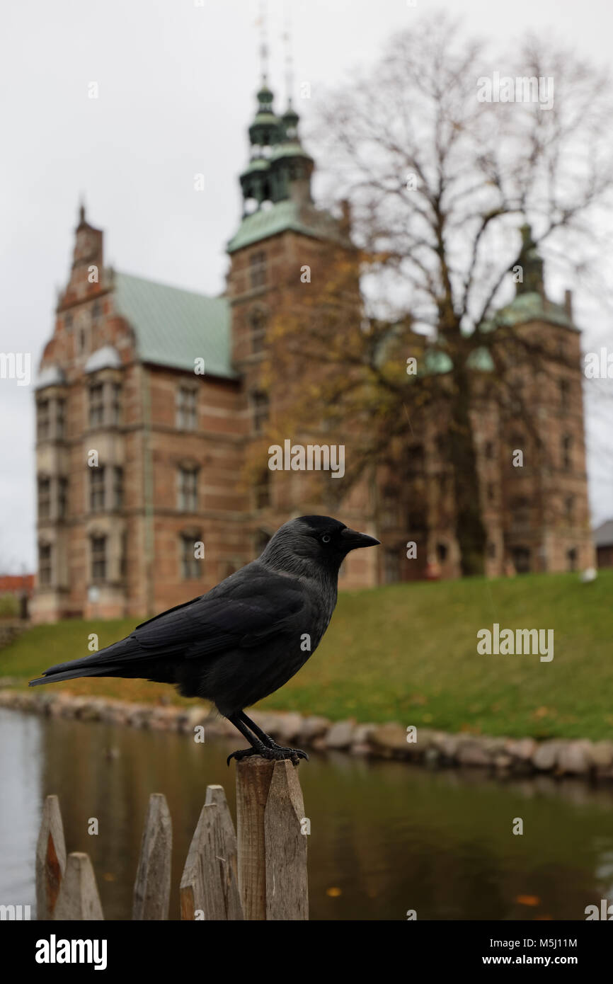 Crow sitting on fence against Rosenborg castle in Copenhagen, Denmark ...