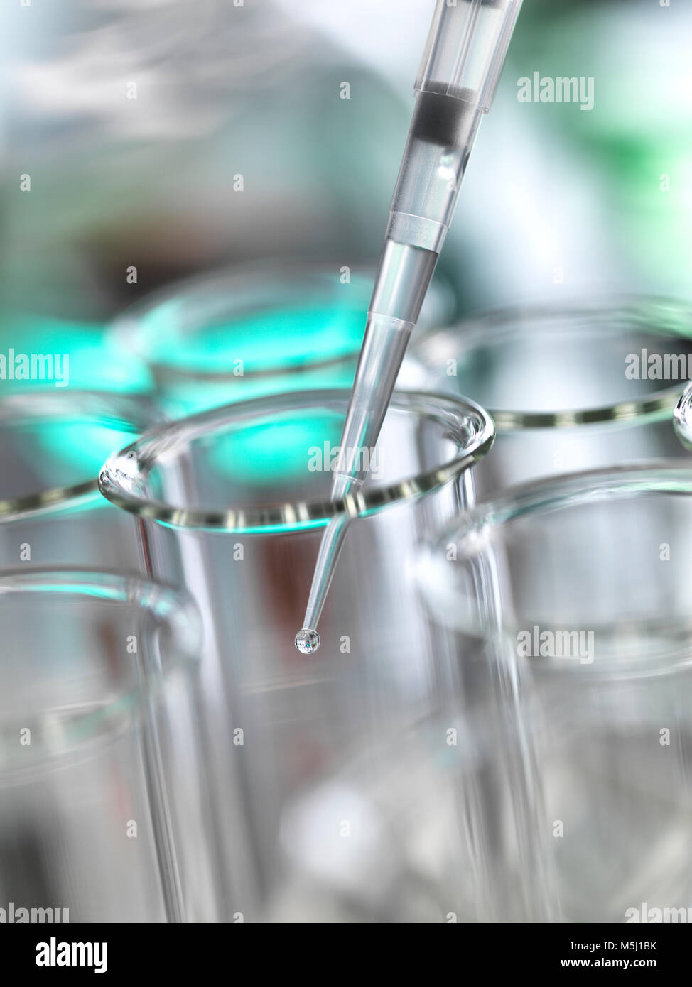 Sample being pipetted into test tubes during a laboratory experiment ...