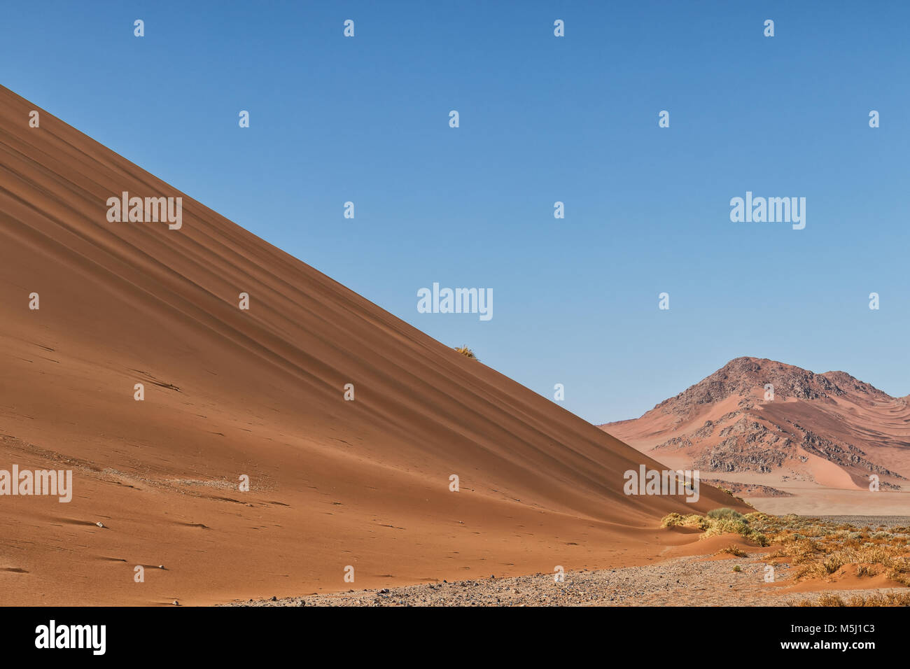 Sossusvlei desert, Namibia. Red dunes bushes Stock Photo - Alamy