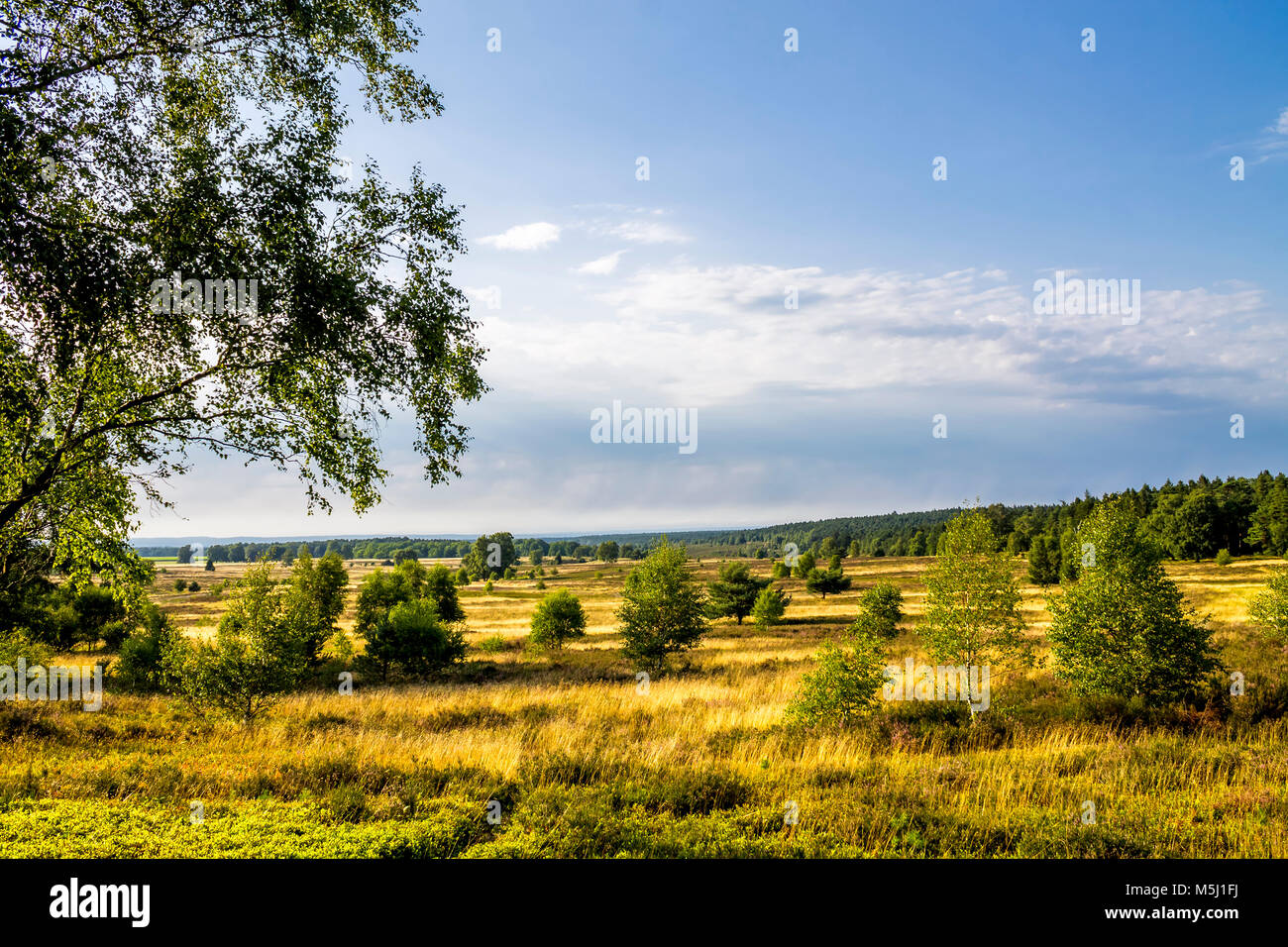 Lower saxony hi-res stock photography and images - Alamy