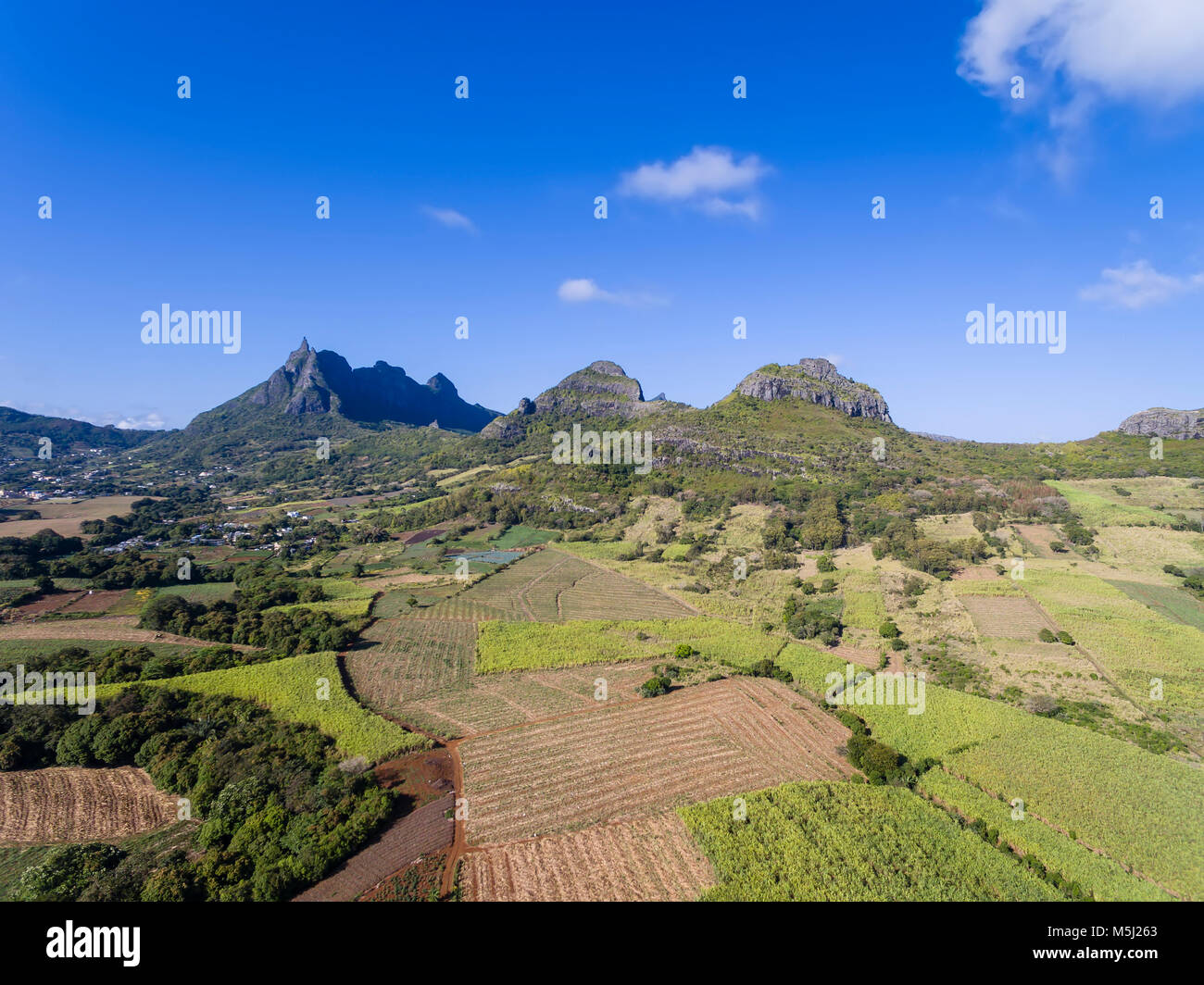 Mauritius, Highlands, sugarcane fields with Mountain Pieter Both left ...