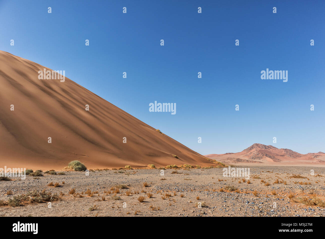 Sossusvlei desert, Namibia. Red dunes bushes Stock Photo - Alamy