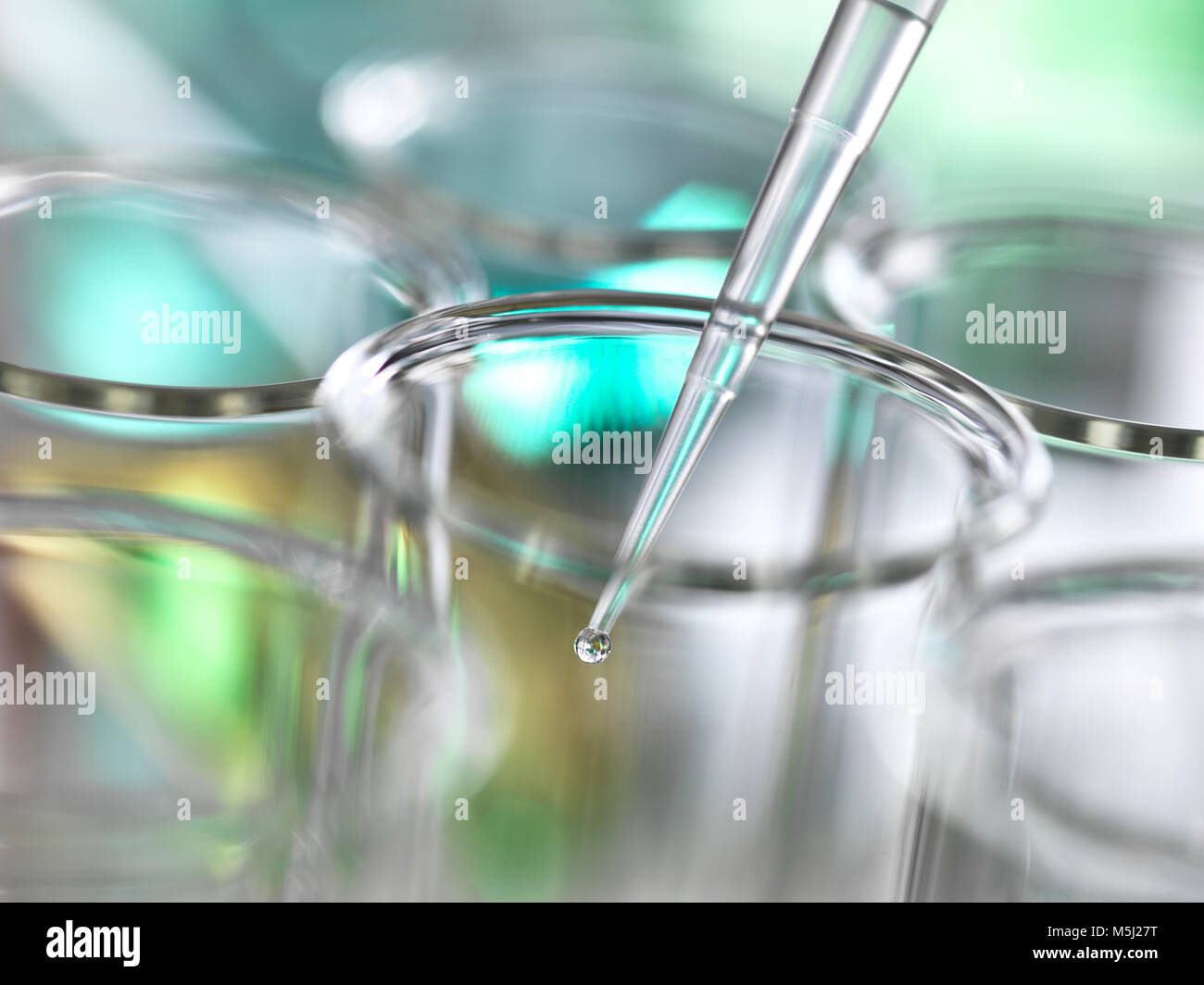 Laboratory tubes liquid close up hi-res stock photography and images ...