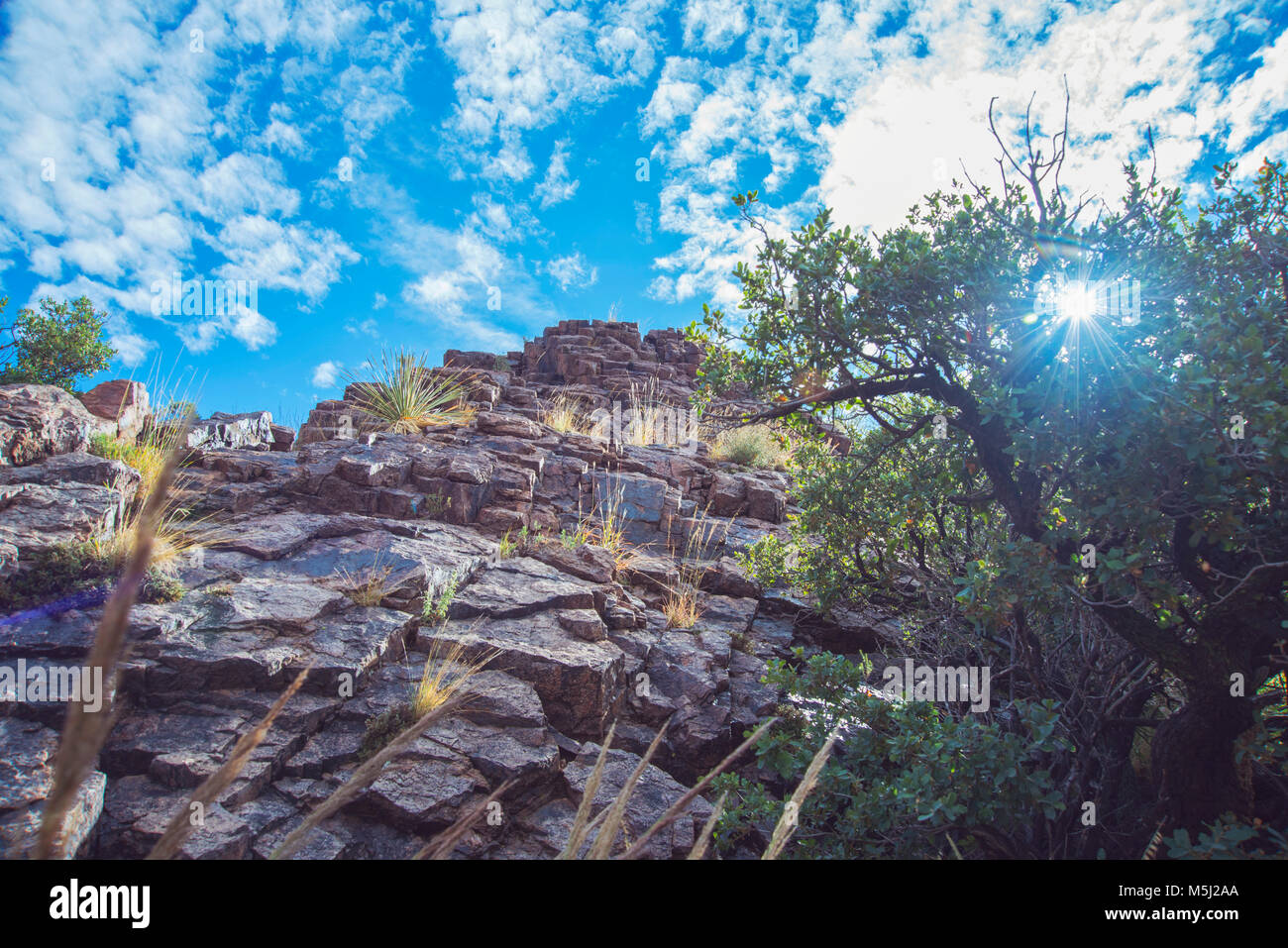 view looking up at the cliff into the sky Stock Photo - Alamy