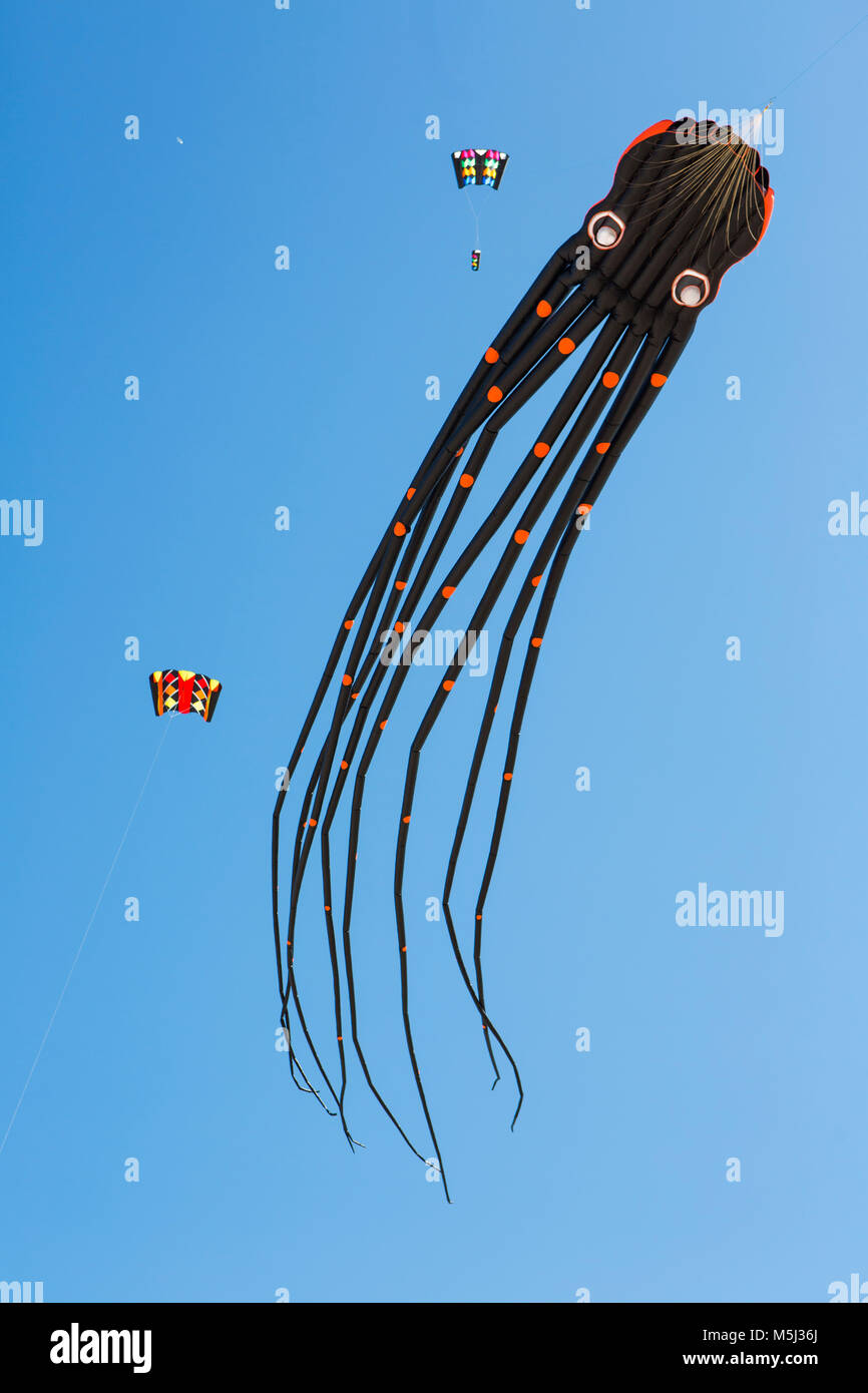 Octopus-shaped kite in the sky Stock Photo - Alamy
