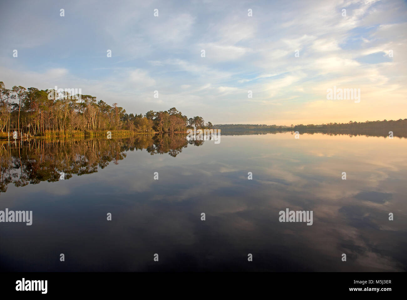 Davenport florida hi-res stock photography and images - Alamy