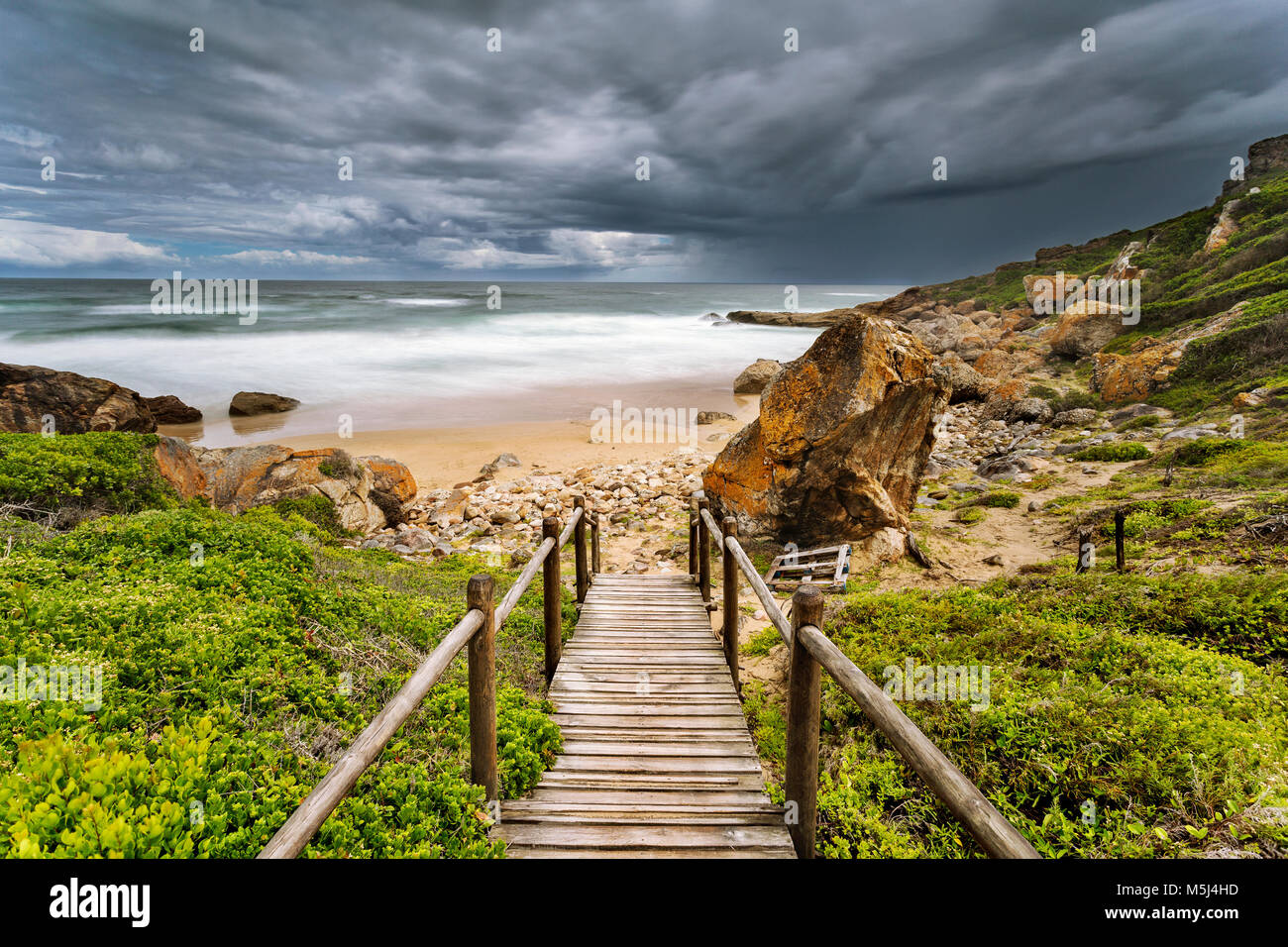 Africa, South Africa, Western Cape, Plettenberg Bay, Robberg National ...