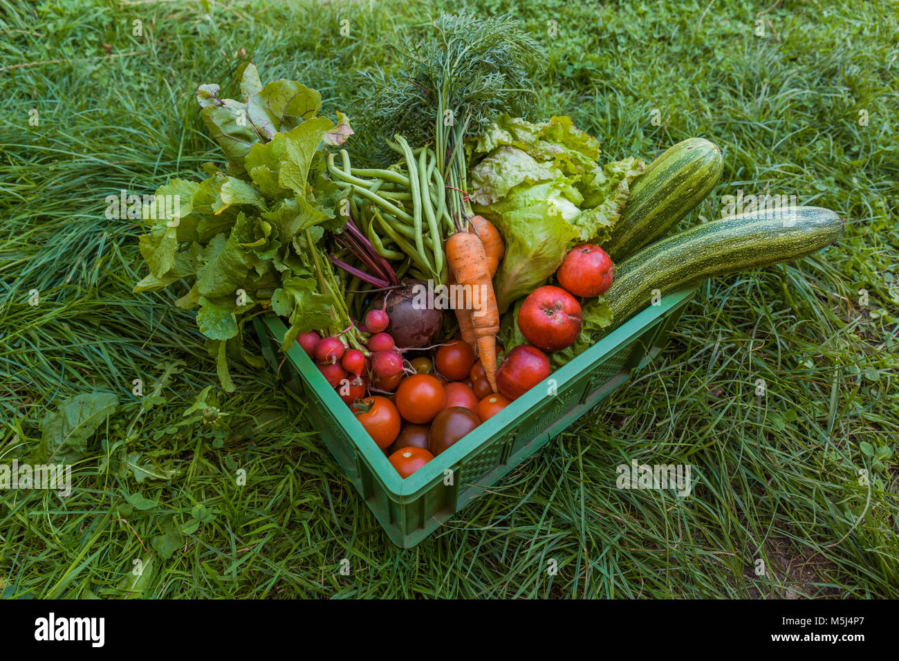 Vegetables in a box hi-res stock photography and images - Alamy