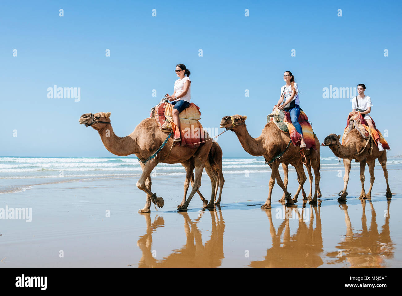 Group of people riding camel hi-res stock photography and images - Alamy