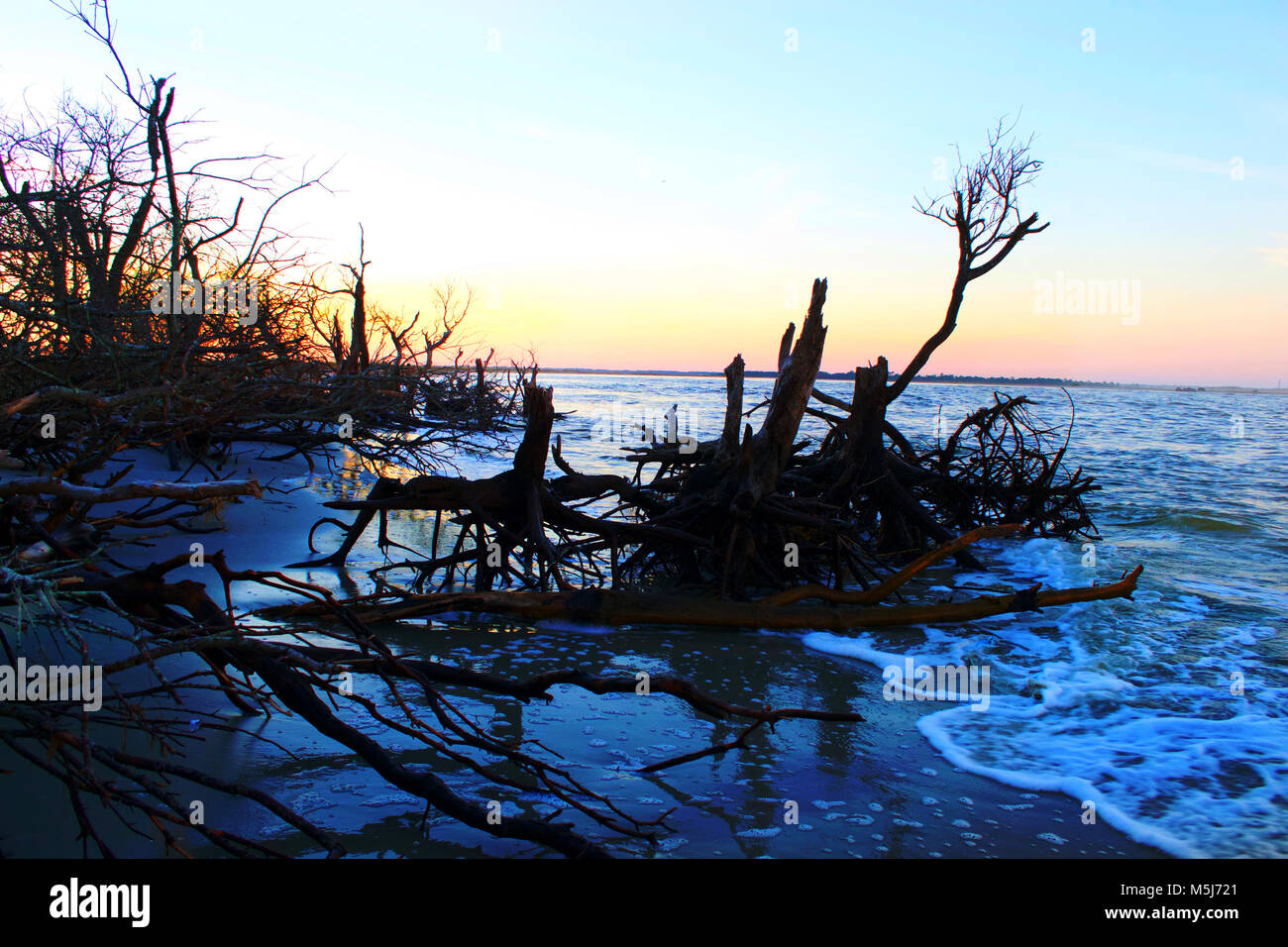 Deep sea wood hi-res stock photography and images - Alamy