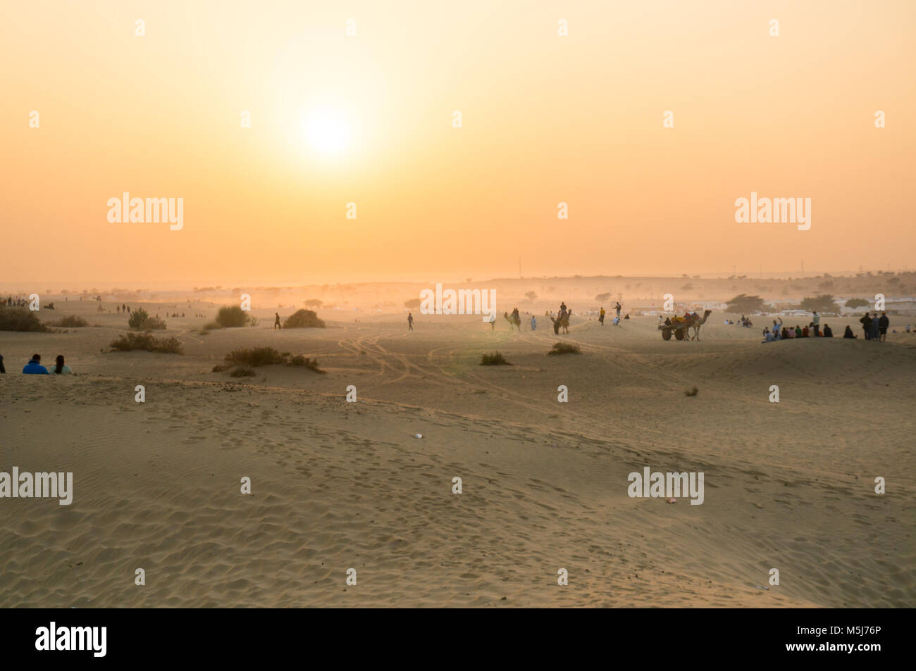 Night thar desert rajasthan hi-res stock photography and images - Alamy