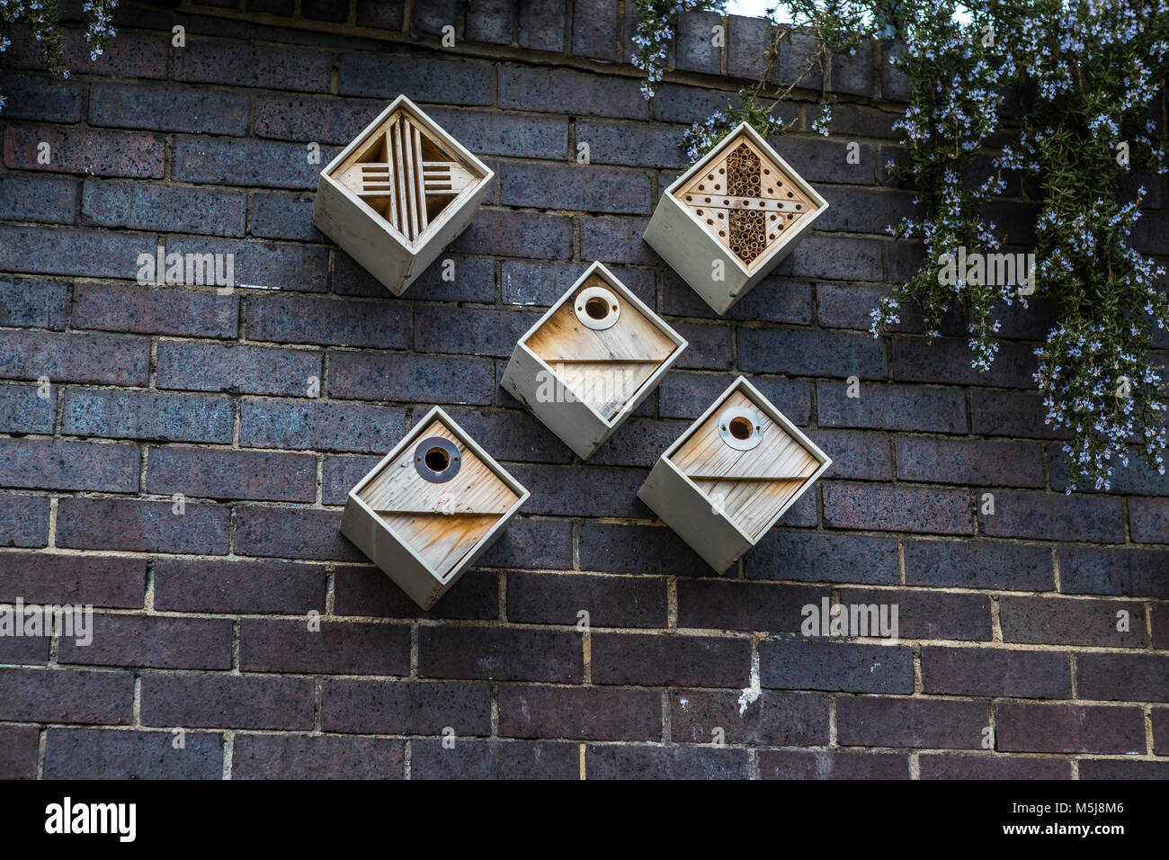 Decorative and designer bird and bug boxes for wildlife at Finzels ...