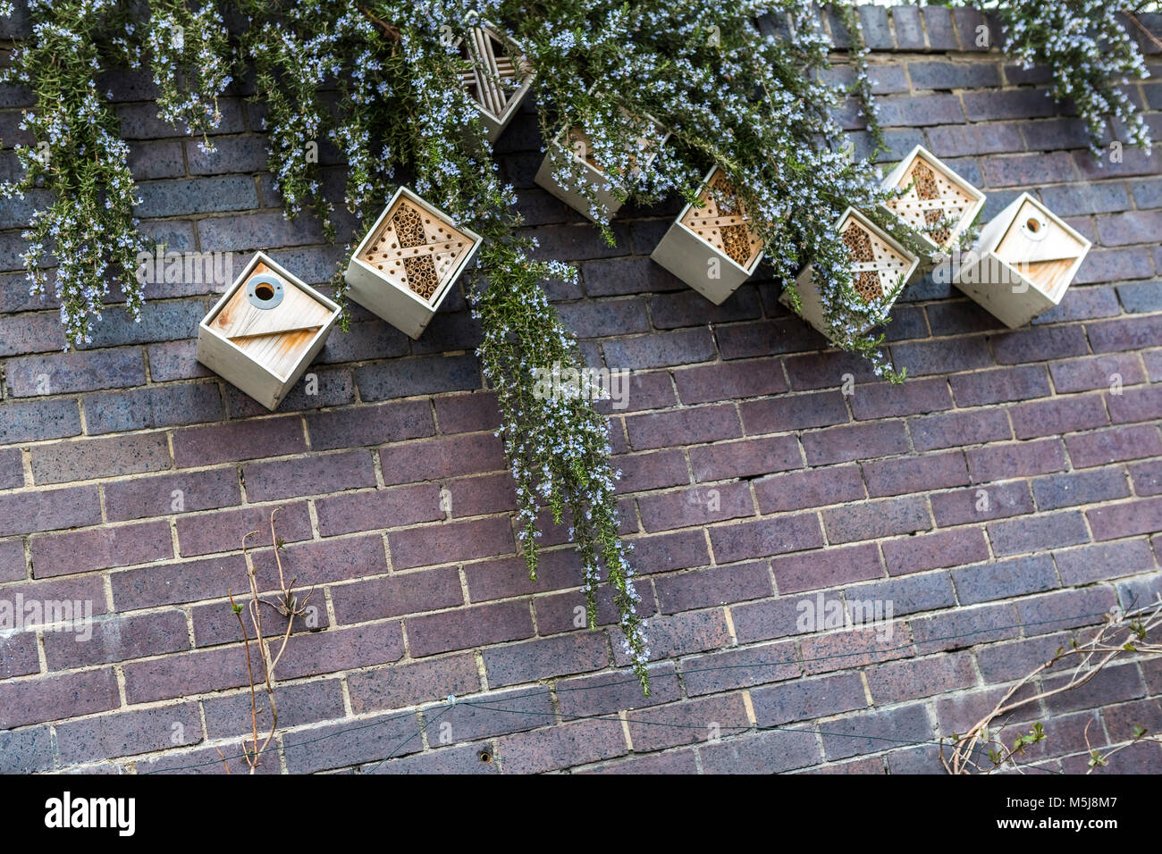 Decorative and designer bird and bug boxes for wildlife at Finzels ...