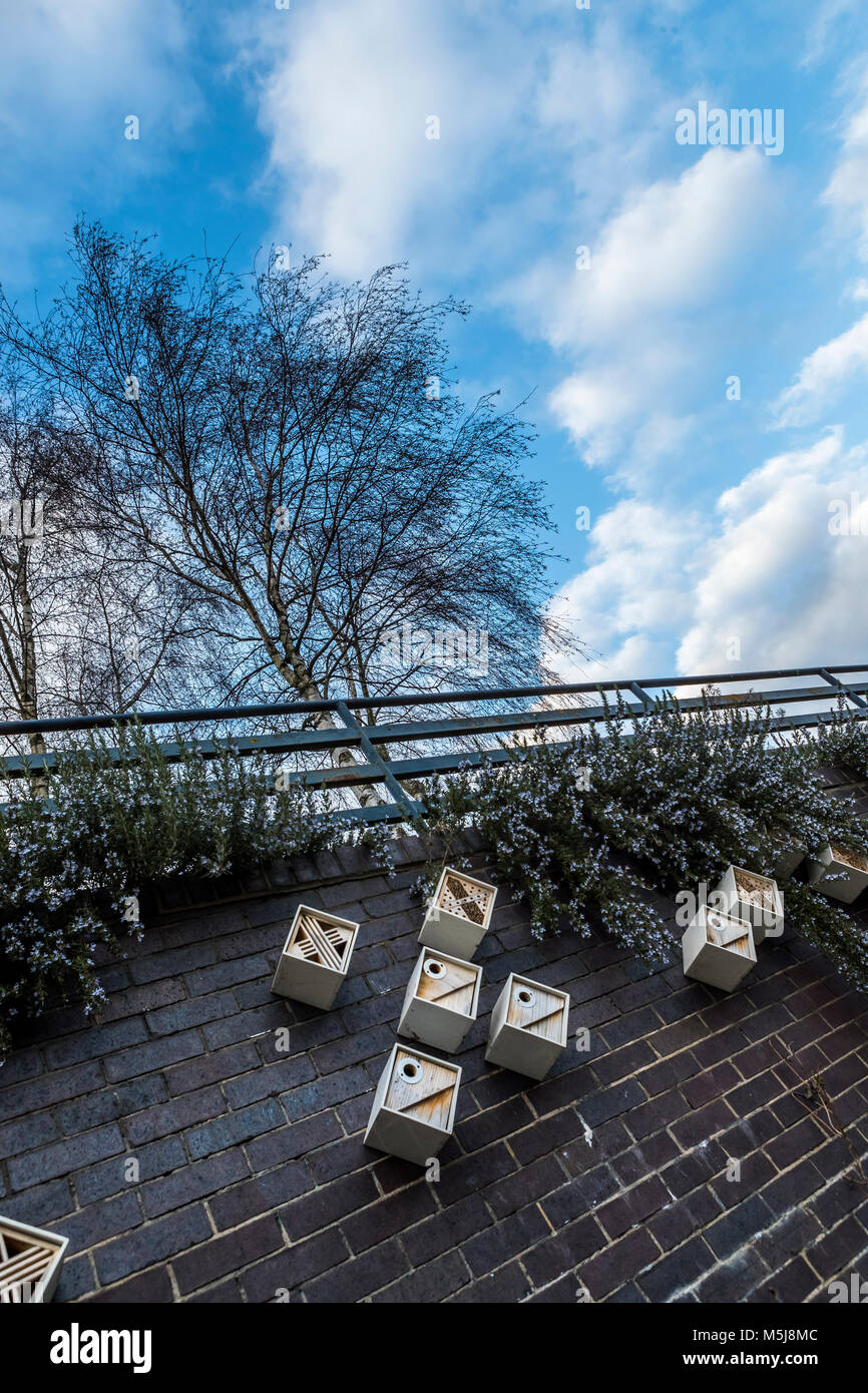 Bug boxes hibernate hi-res stock photography and images - Alamy