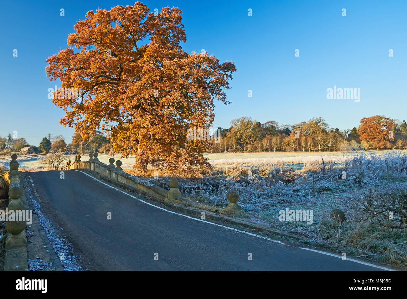 Rural landscape scene in hi-res stock photography and images - Alamy