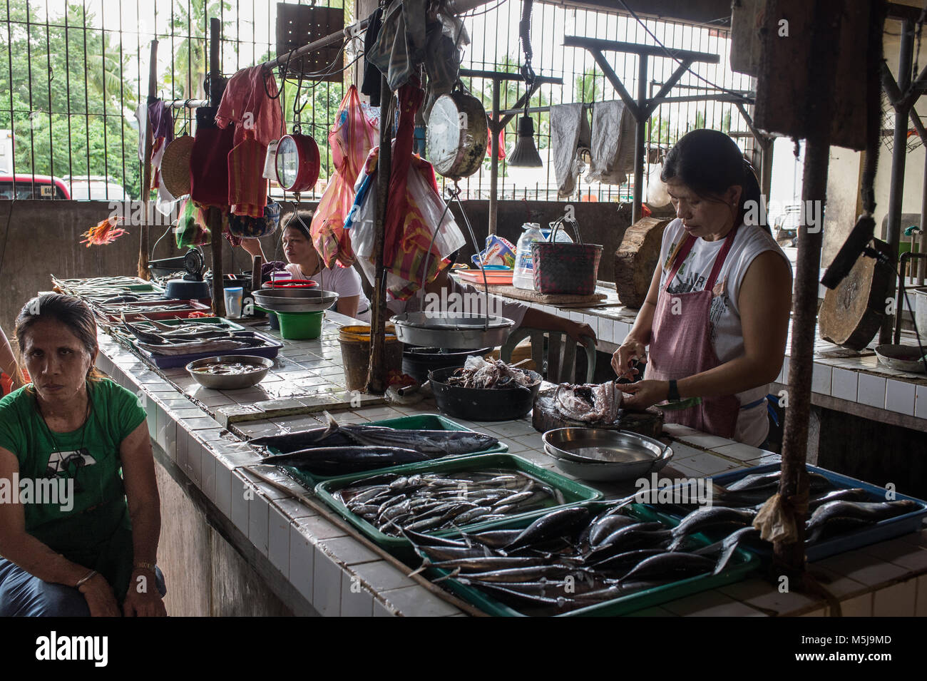 Fish market, Mabini, Batangas, Philippines, Asia Stock Photo - Alamy